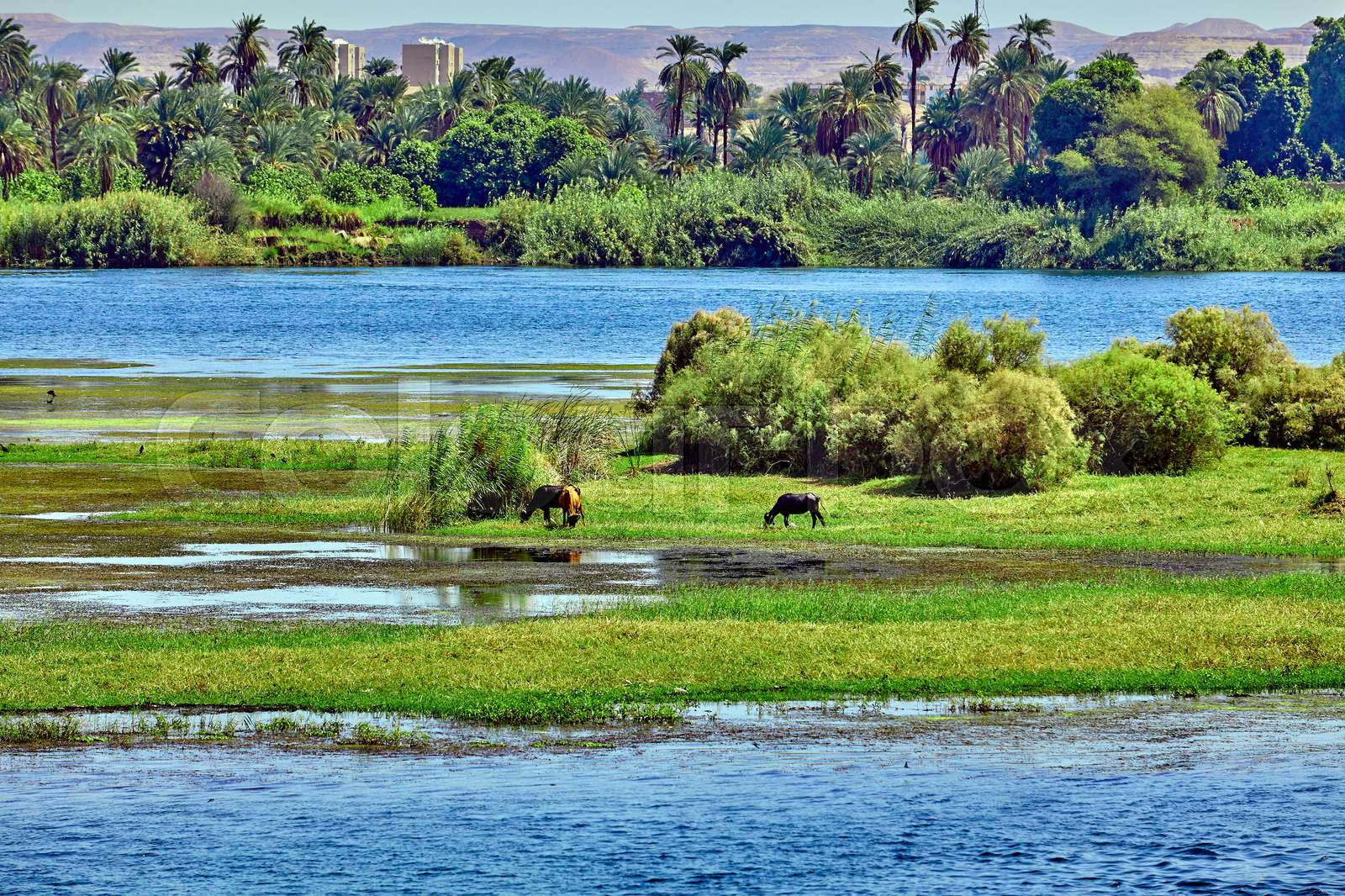 River Nile in Egypt. beautiful landscape | Stock image | Colourbox