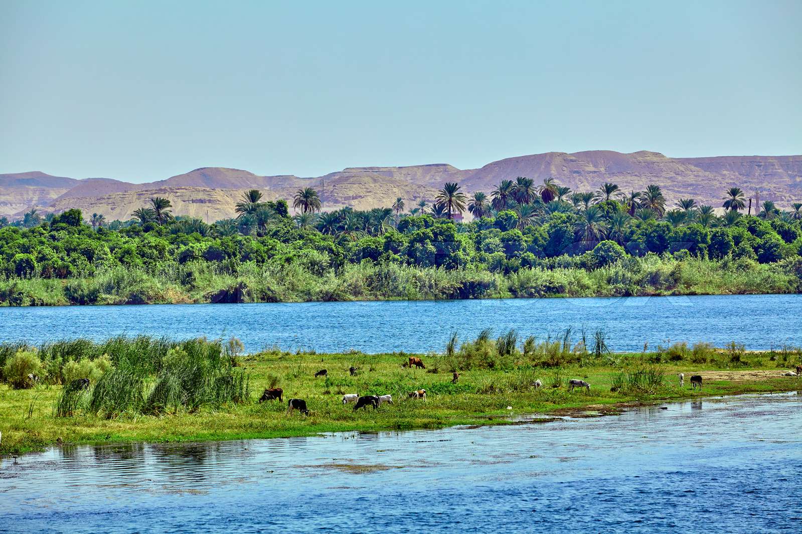 River Nile in Egypt. beautiful landscape | Stock image | Colourbox