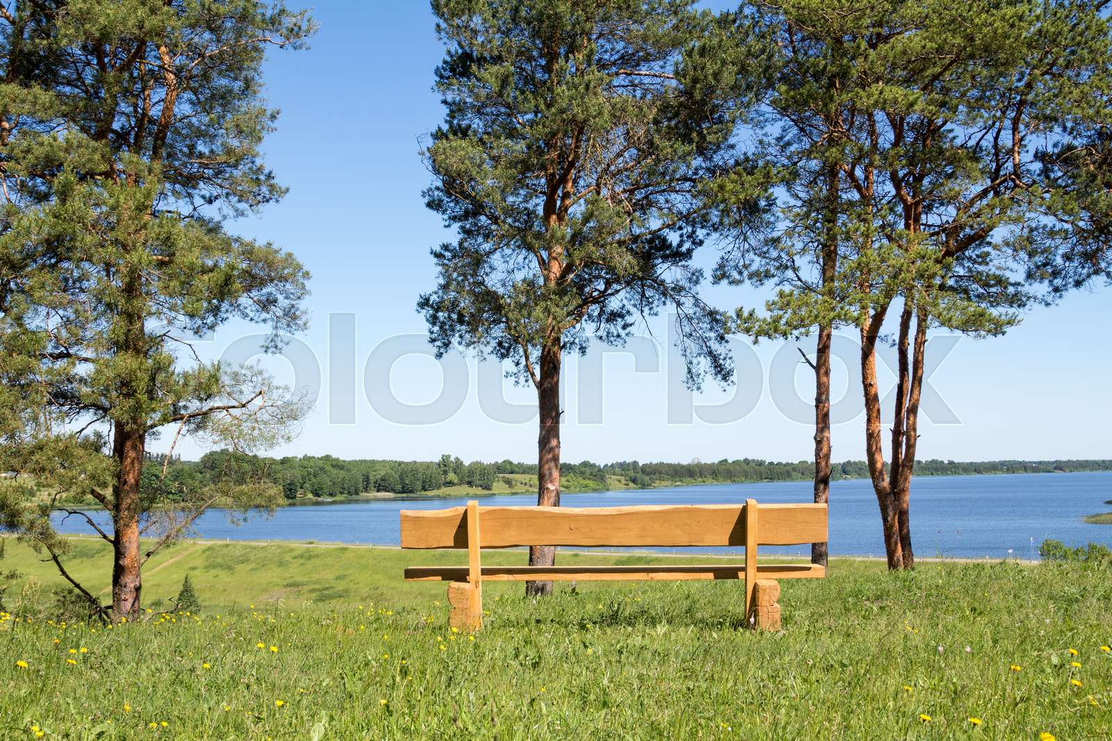 Wooden bench at park with lake view | Stock image | Colourbox