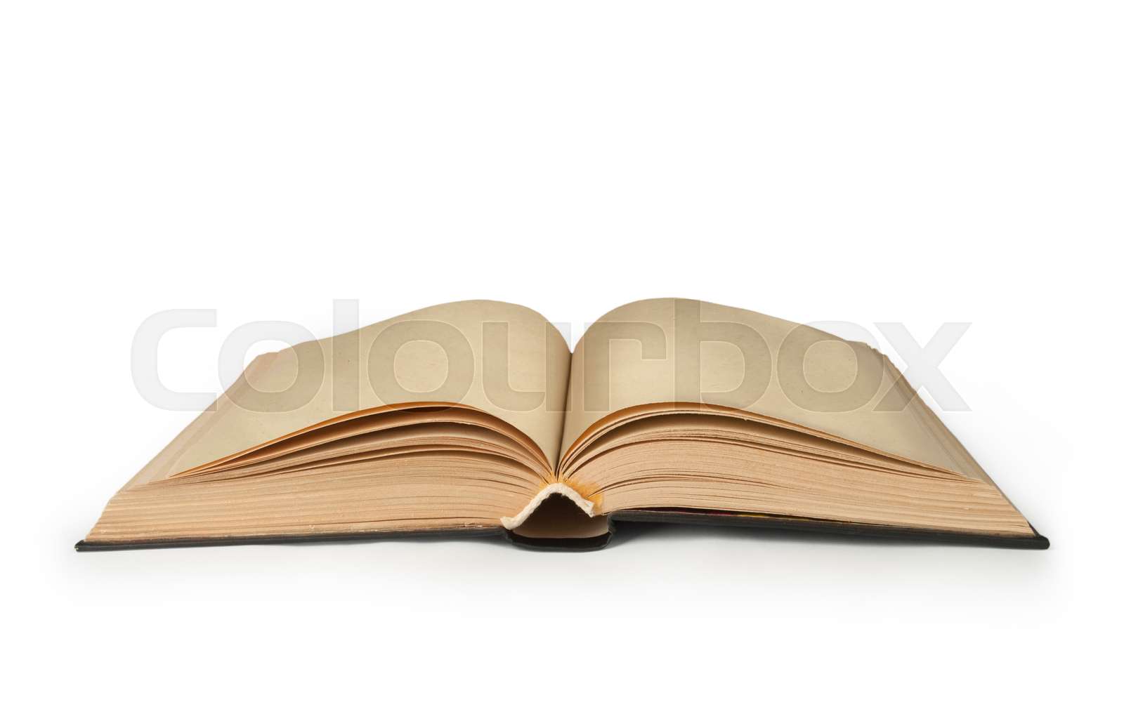 Open book.Empty open book. | Stock image | Colourbox