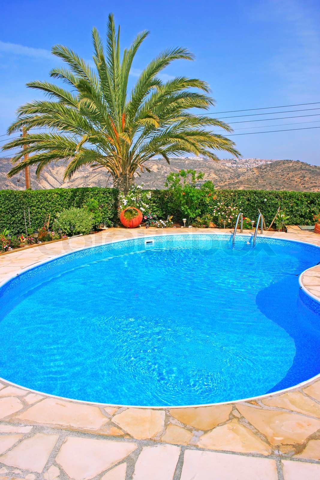 Types Of Inground Pools: Demystifying The Options Inground, 48% OFF