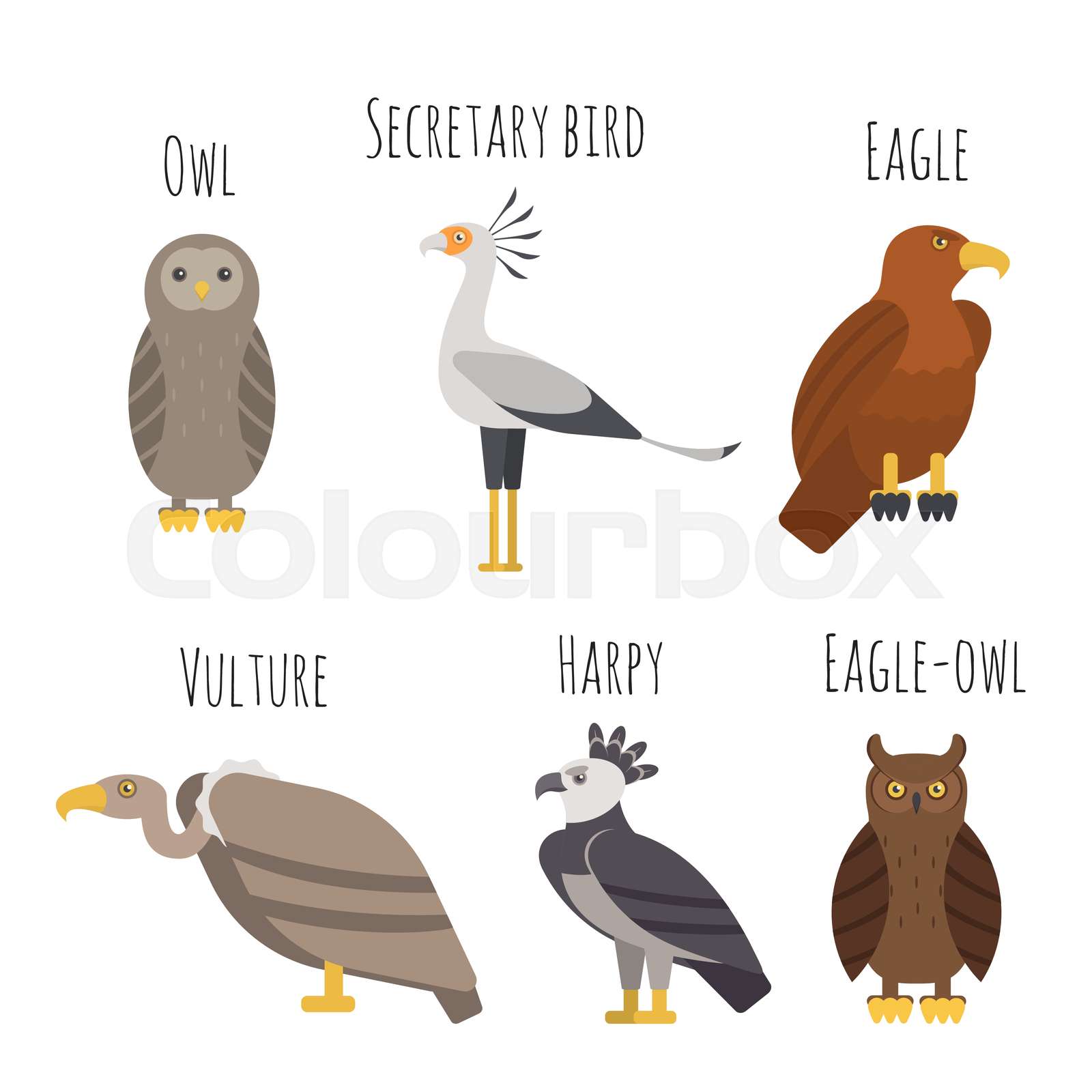 Vector set of Colorful birds of prey icons. Owl, vulture, eagle and ...