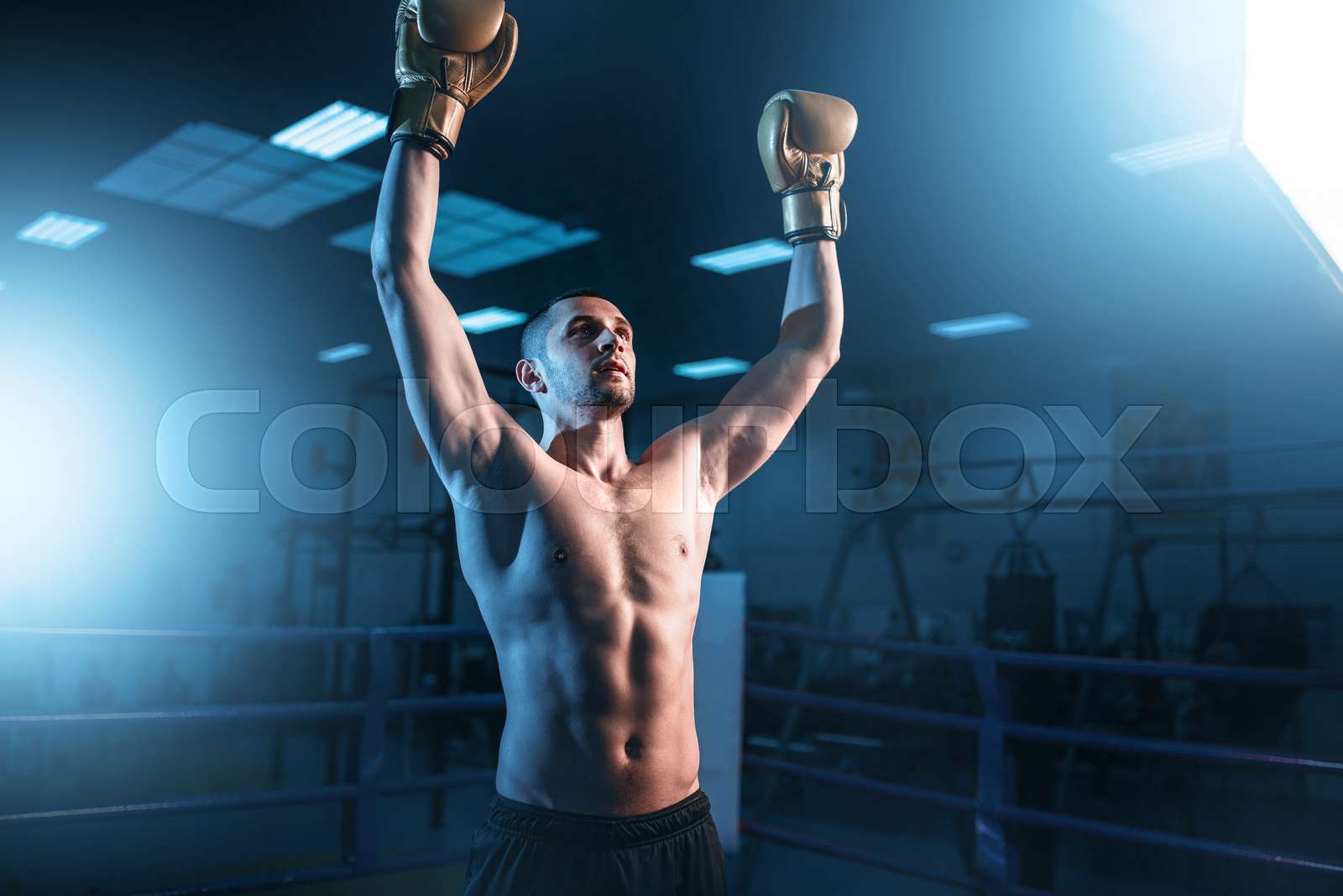 Boxer in gloves hands up on the ring, back view | Stock image | Colourbox