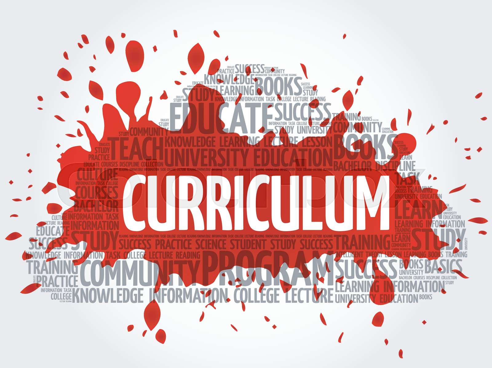 CURRICULUM word cloud | Stock vector | Colourbox