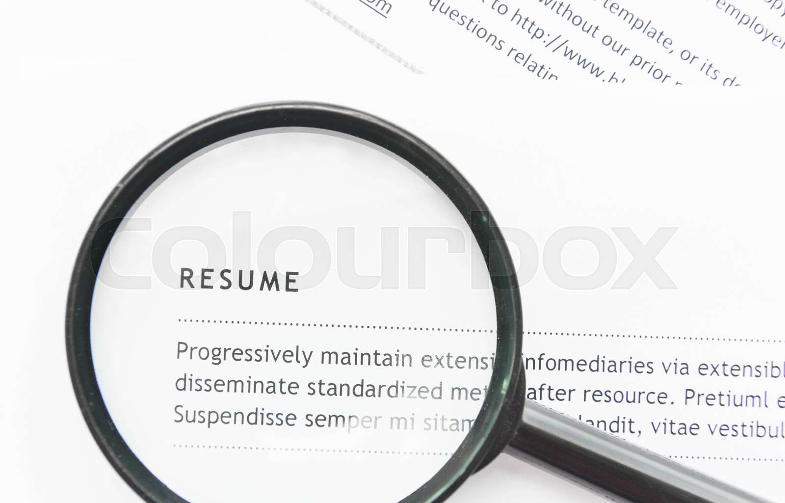 The magnifying glass shines on the resume for searching candidate ...