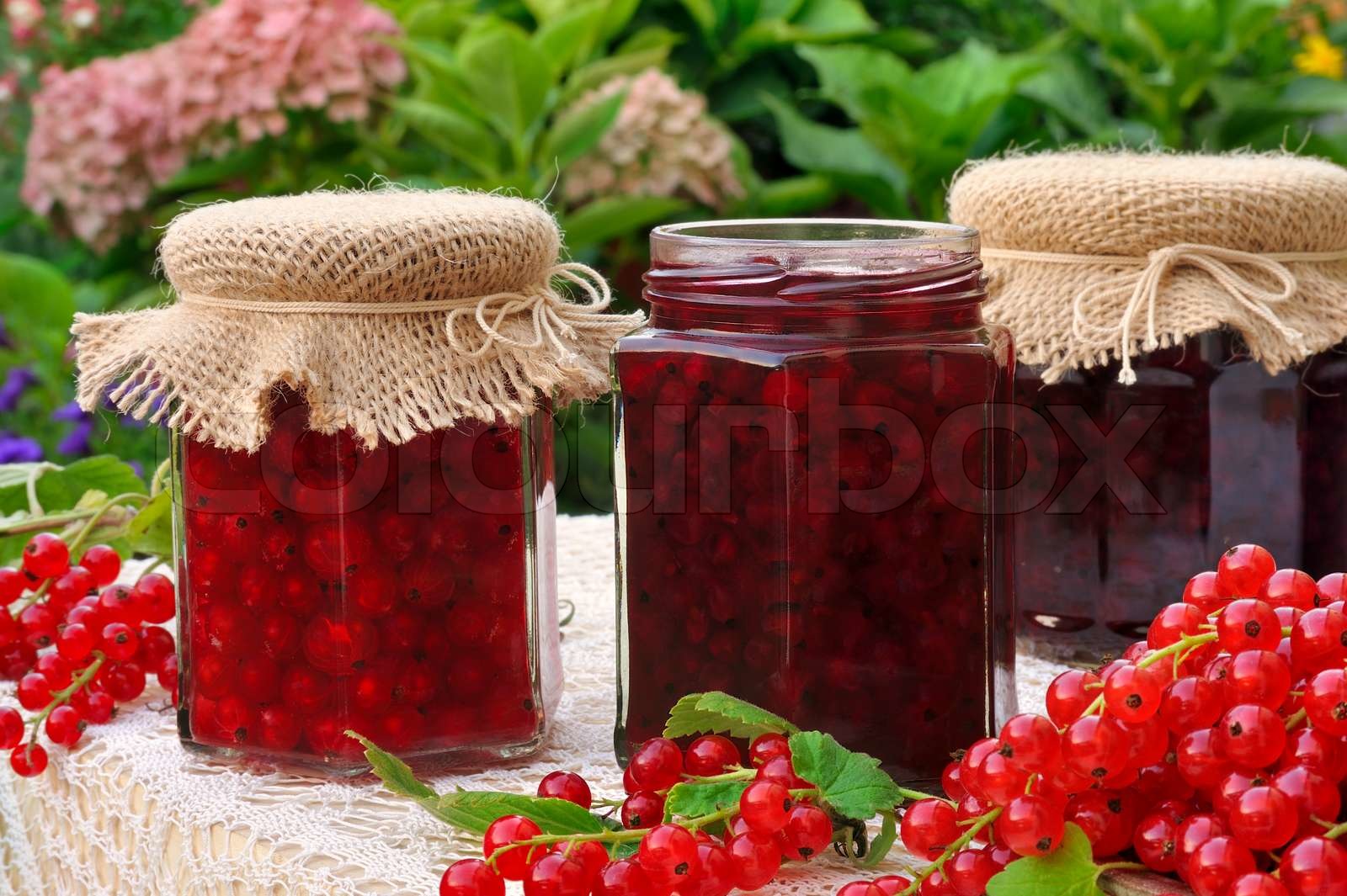 Jars of homemade red currant jam with fresh fruits | Stock image ...