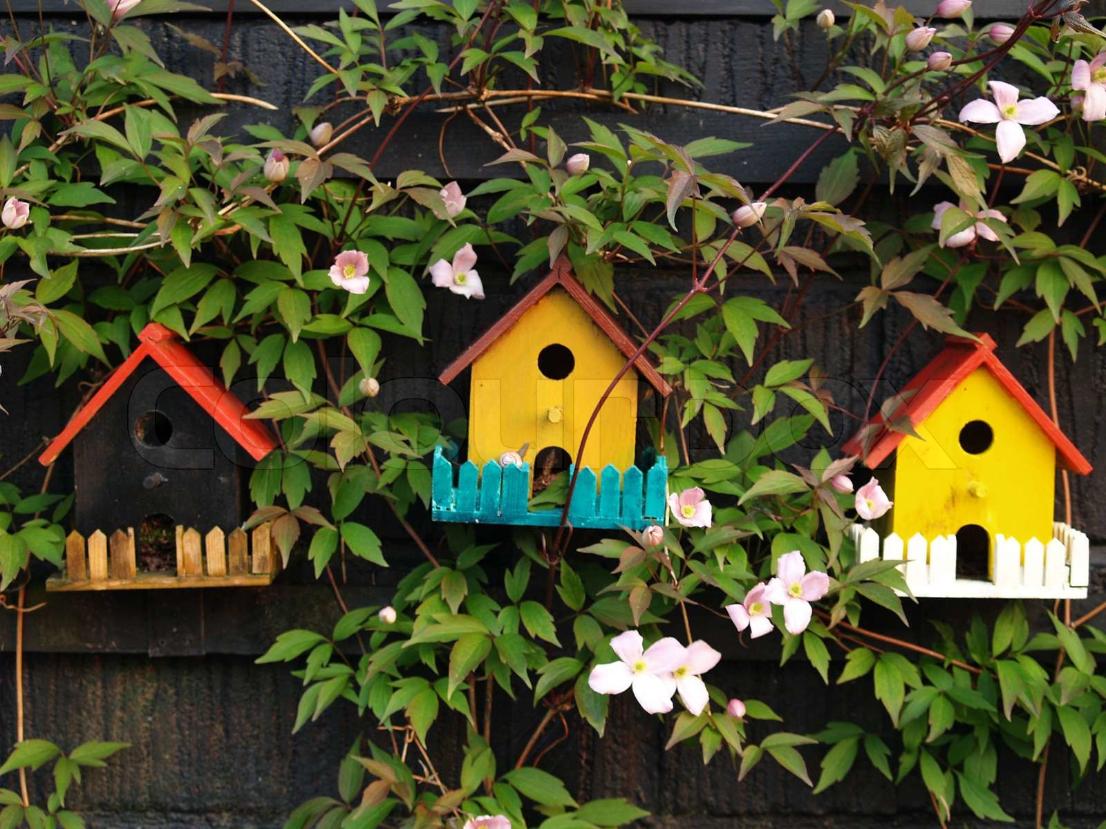 colourful birdhouse | Stock image | Colourbox