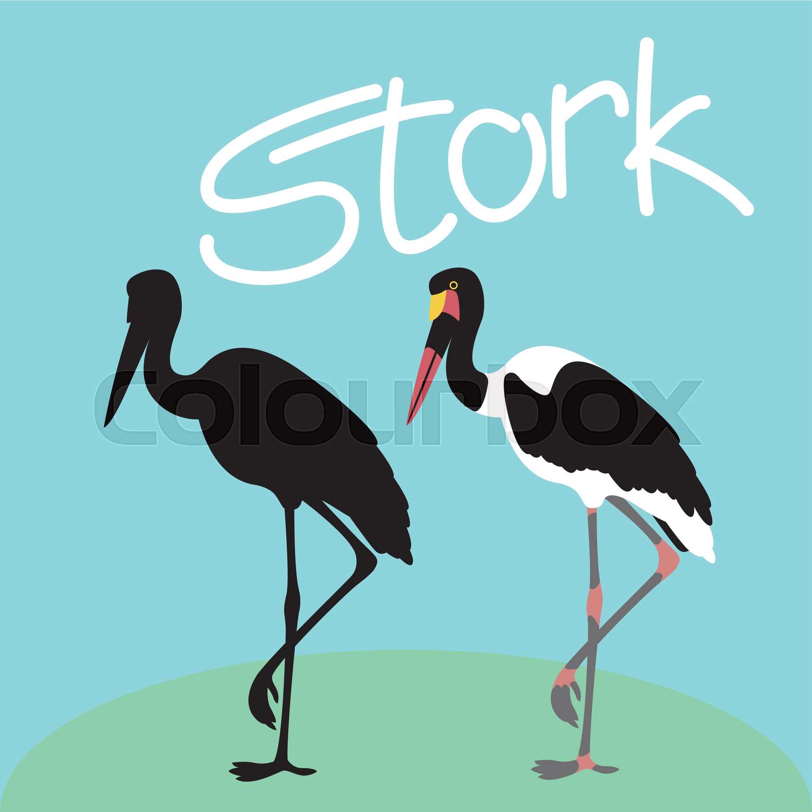 stork, tegning, hals | Stock vektor | Colourbox