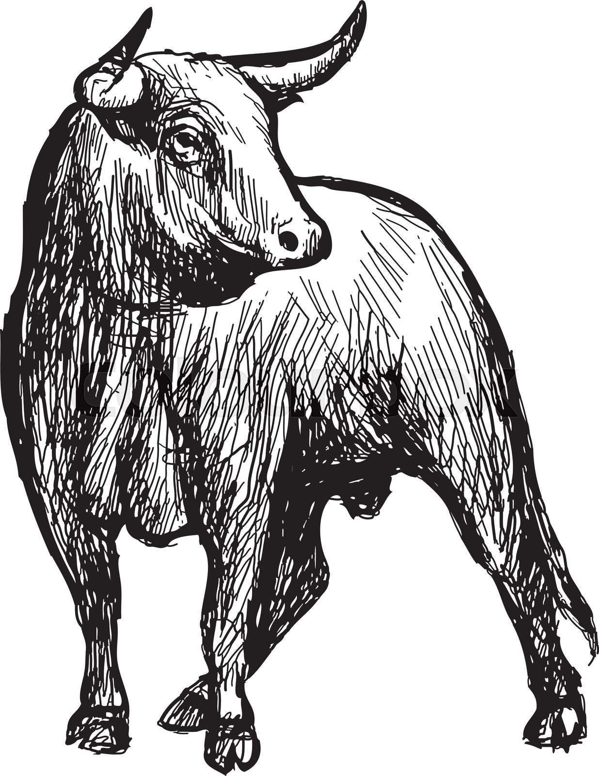 freehand sketch illustration of bul | Stock vector | Colourbox