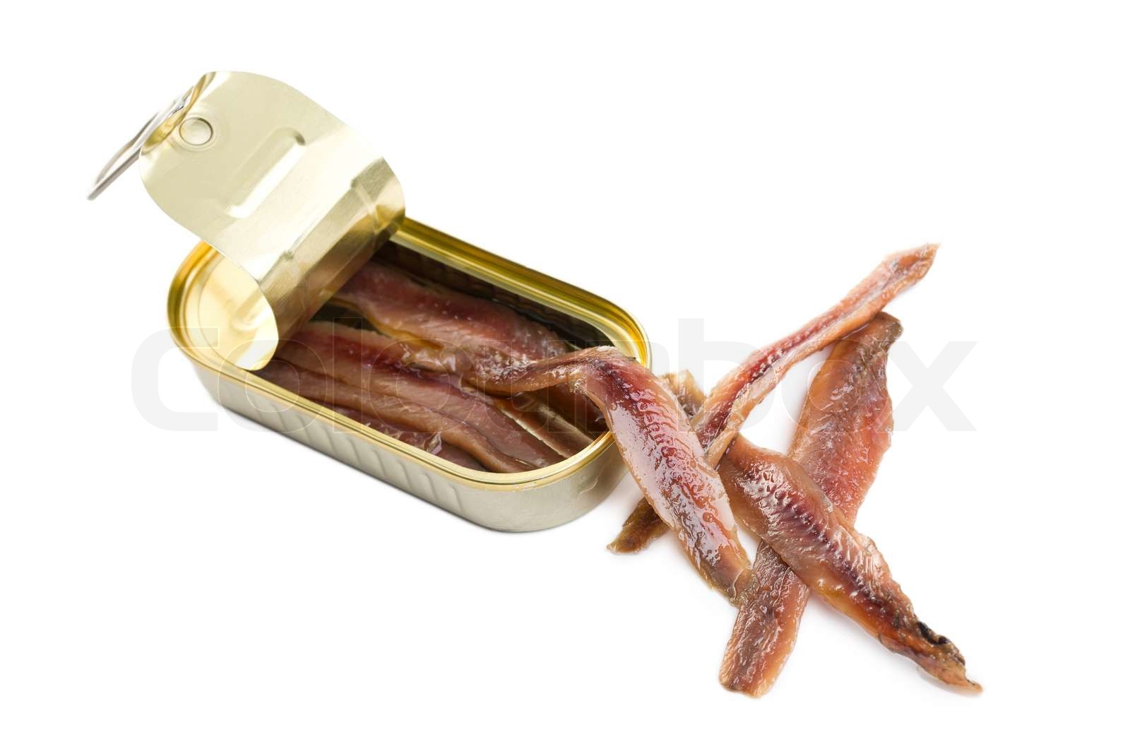 Anchovy Can