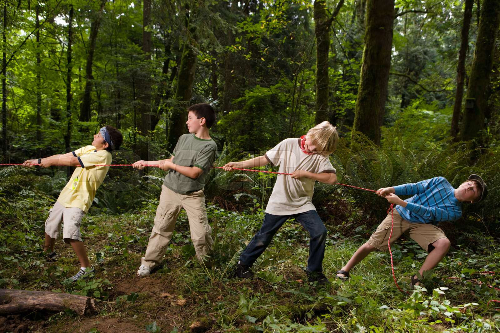 Boys pulling rope | Stock image | Colourbox