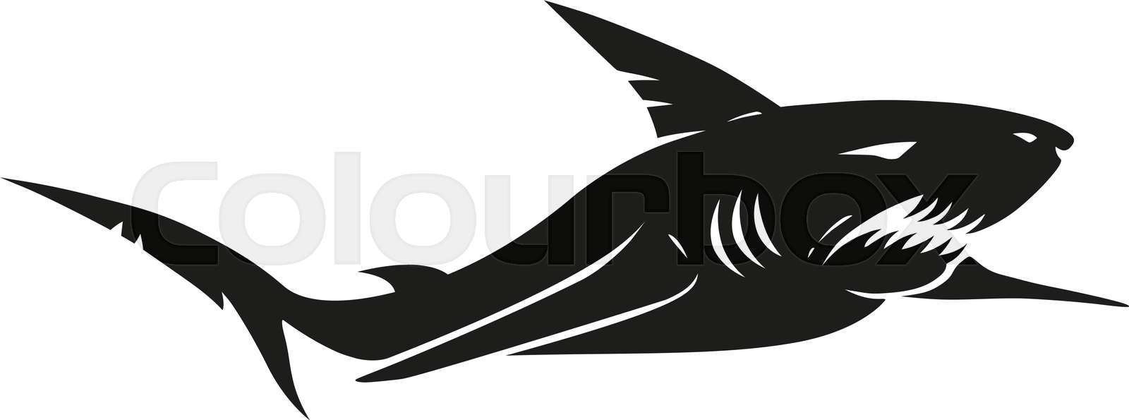 Vintage black shark | Stock vector | Colourbox