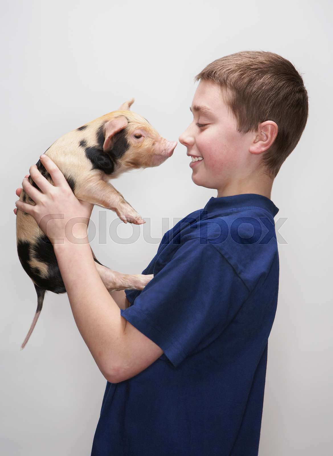 Boy holding piglet | Stock image | Colourbox
