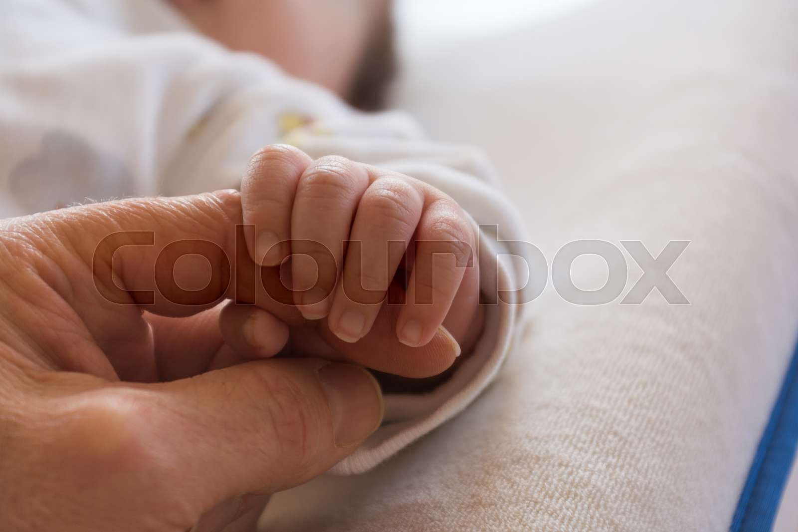 Babyhand und Erwachsenenhand - Nahaufnahme | Stock Bild | Colourbox