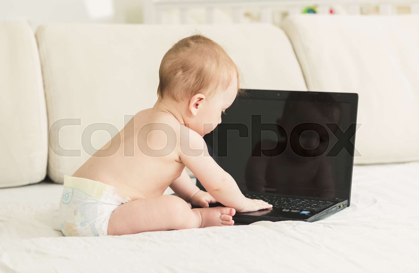 Baby in diapers sitting on bed and using laptop | Stock image | Colourbox