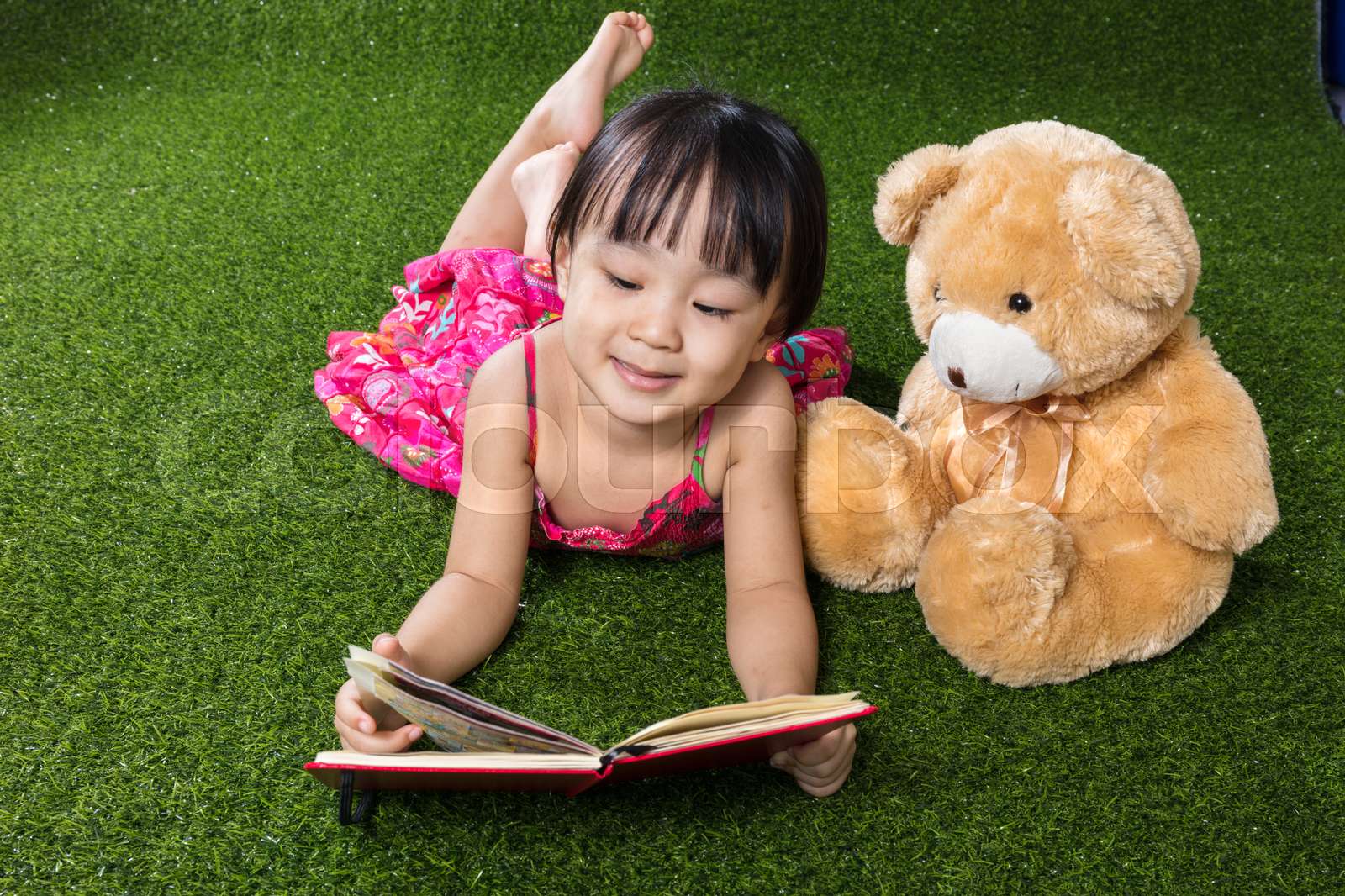 Asian Chinese little girl reading book with teddy bear | Stock image ...