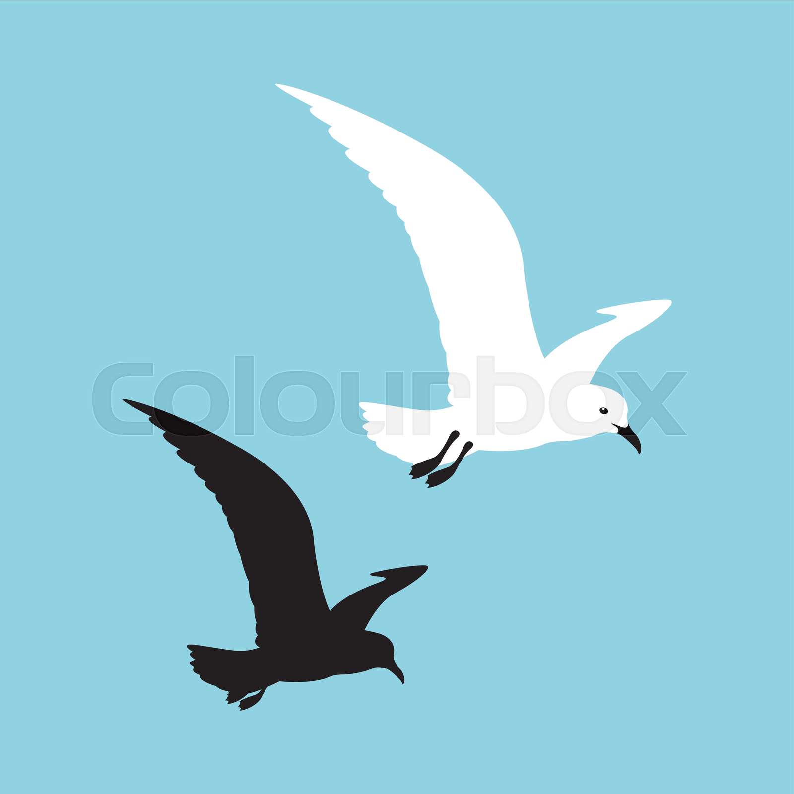 seagull vector | Stock vector | Colourbox