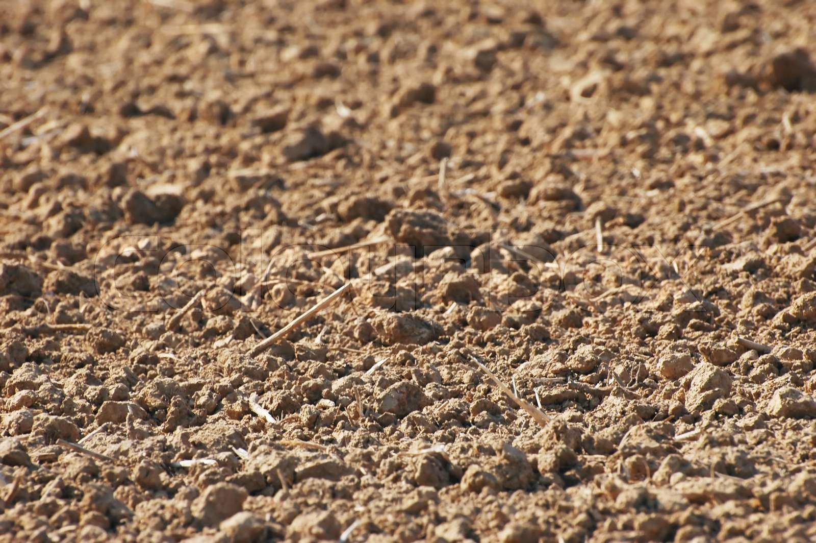 Landwirtschaft - der Boden, auf dem Acker | Stock Bild | Colourbox