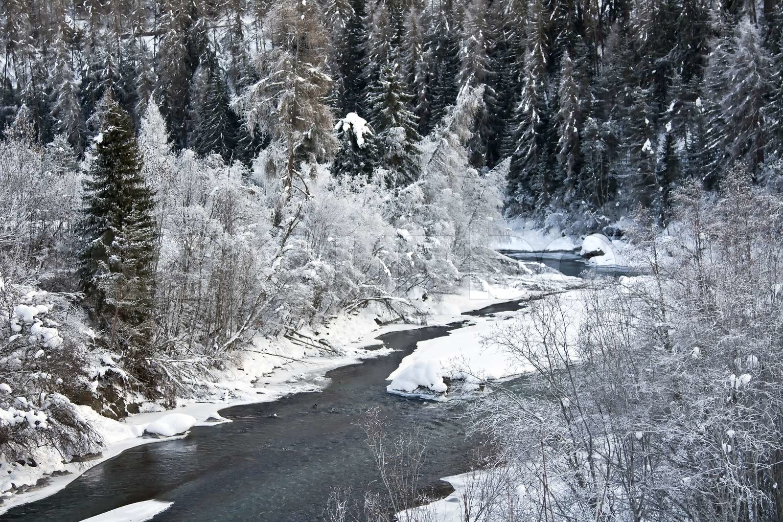 Winter landscape: River surrounded by trees | Stock image | Colourbox