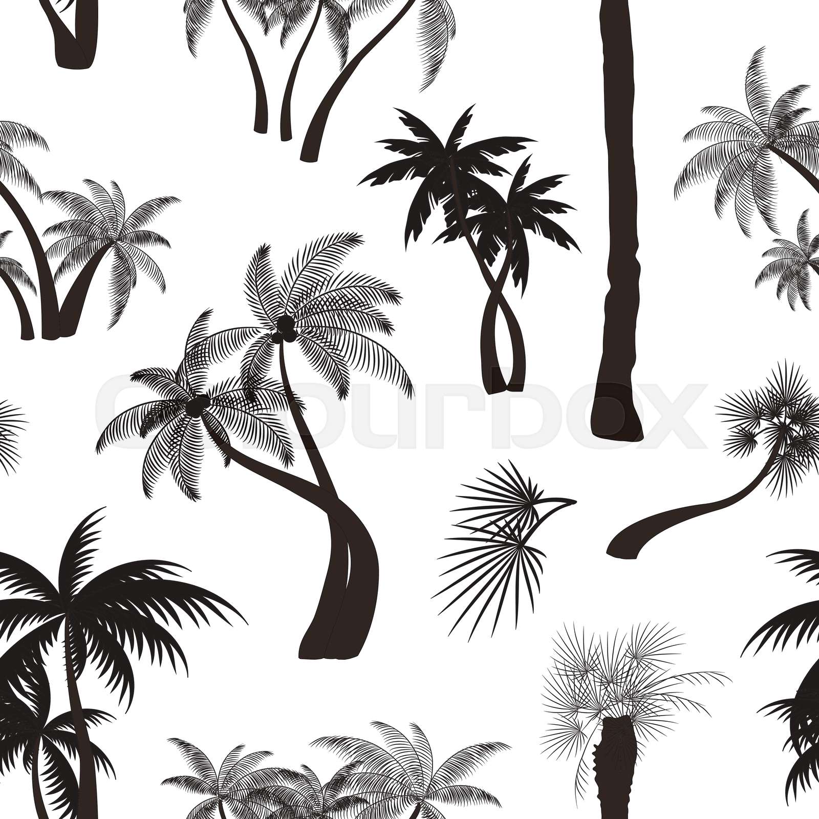Palm collection pattern | Stock vector | Colourbox