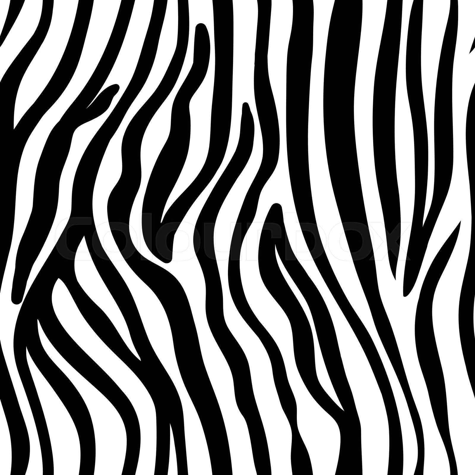 vector seamless black and white pattern of zebra | Stock vector | Colourbox