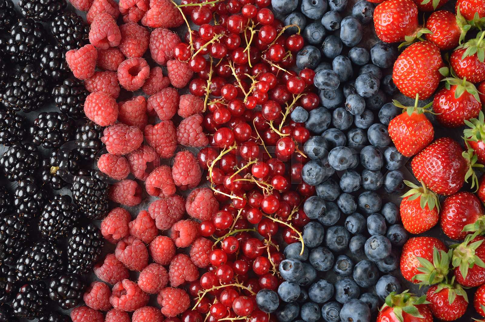 Different forest berries | Stock image | Colourbox