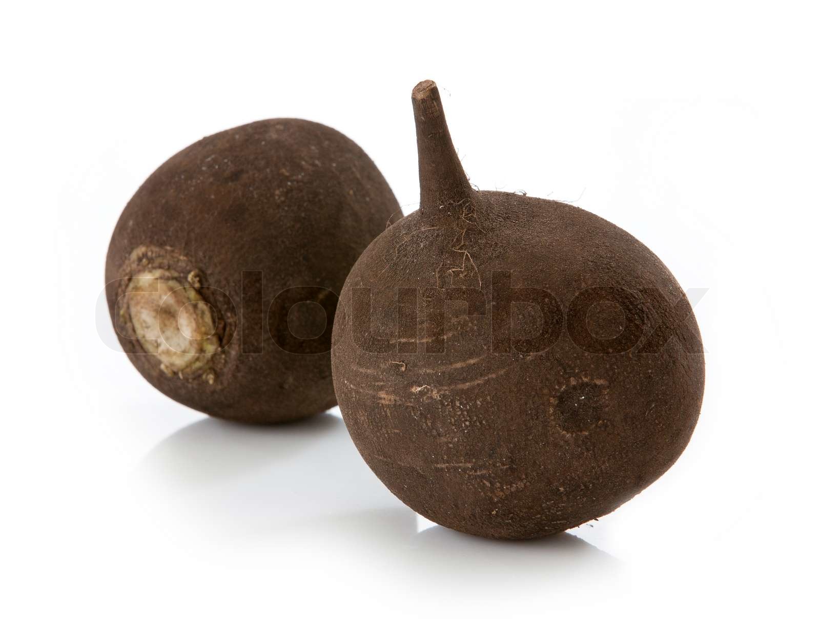 black radish | Stock image | Colourbox