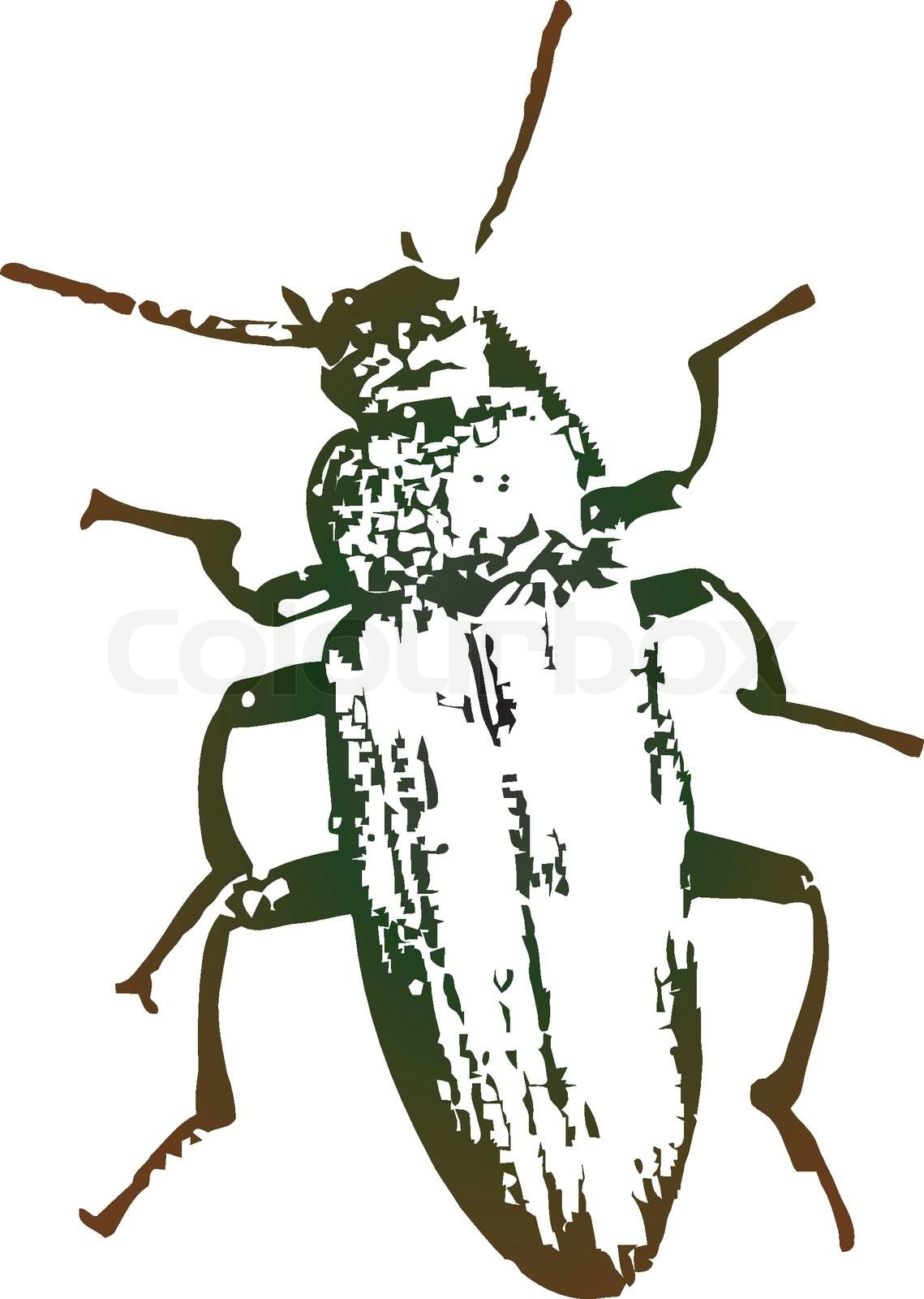 Vector artwork will a beetle | Stock vector | Colourbox