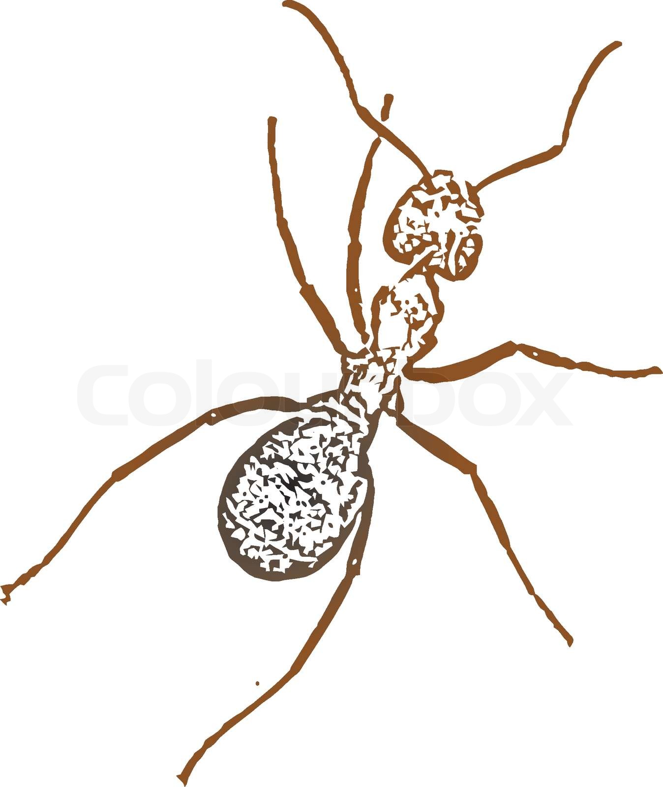 Vector billede af en myre | Stock vektor | Colourbox