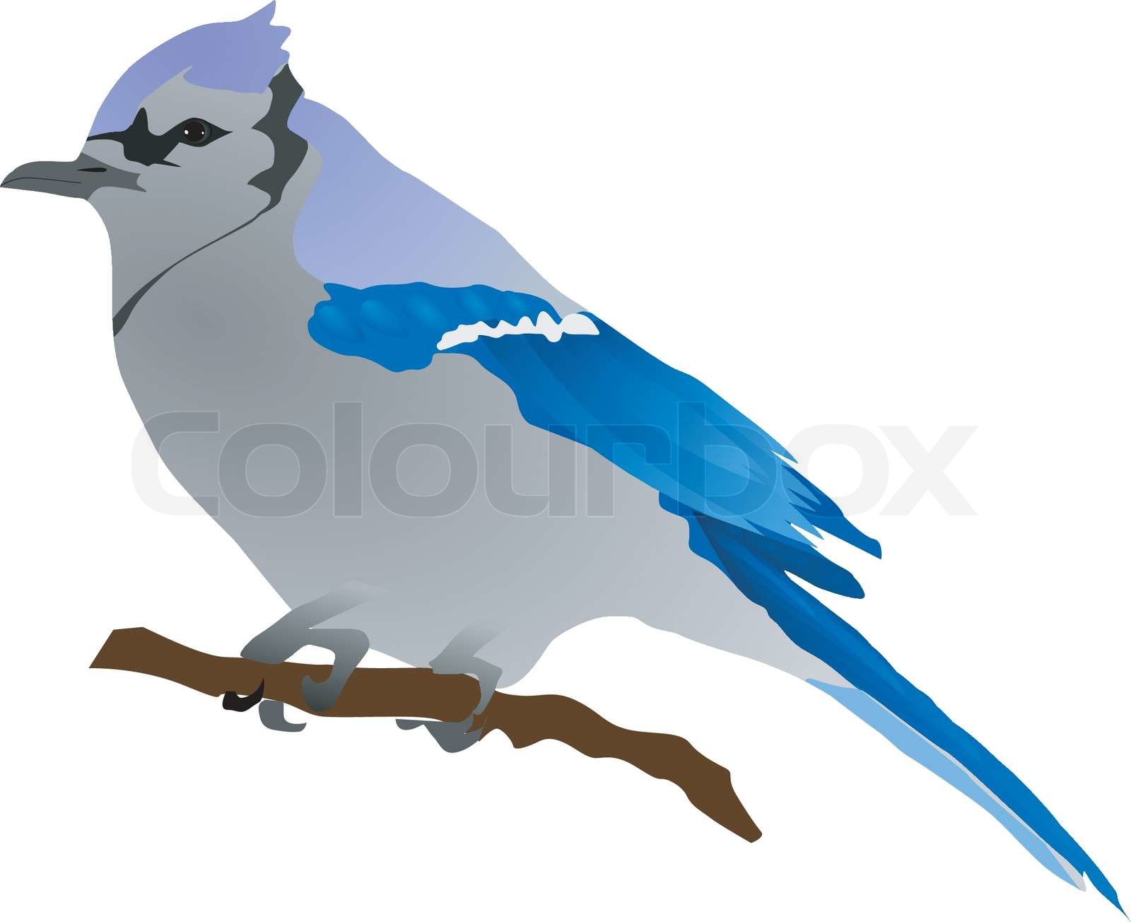 Vector illustration of blue birds | Stock vector | Colourbox