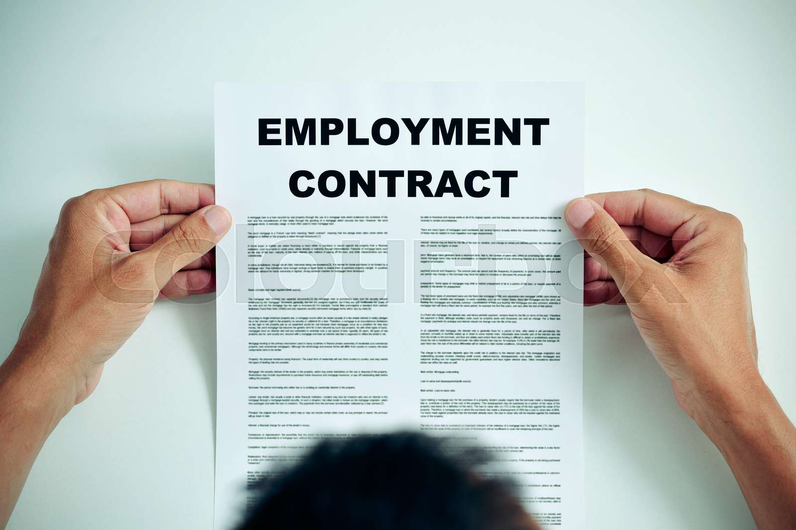 man reading an employment contract | Stock image | Colourbox
