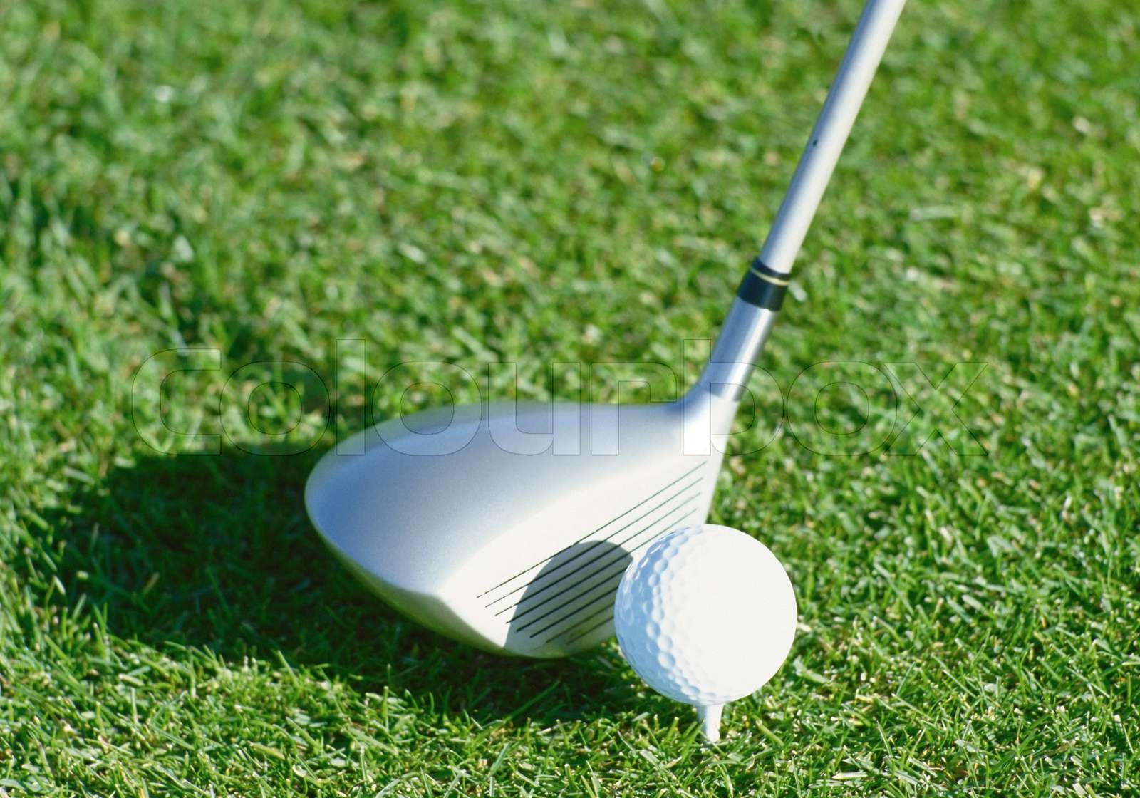 Golf bold på tee med kølle på grønt græs | Stock foto | Colourbox