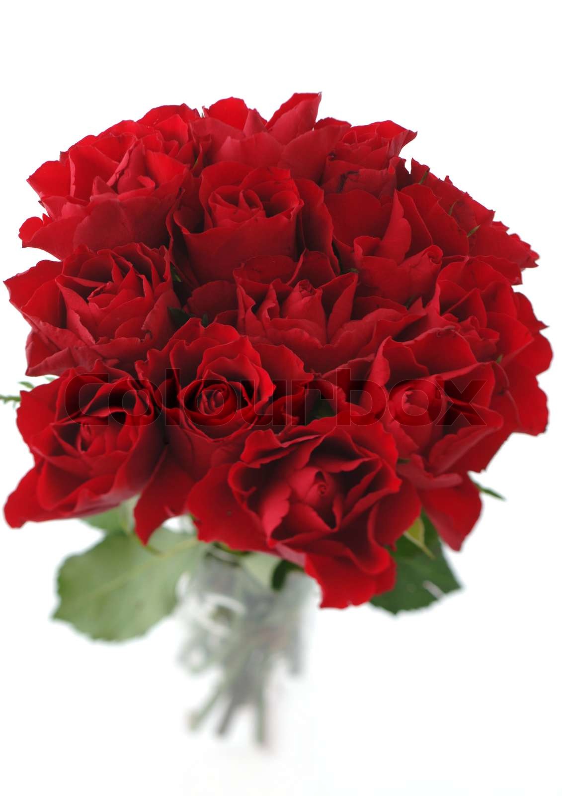 Buket røde roser | Stock foto | Colourbox