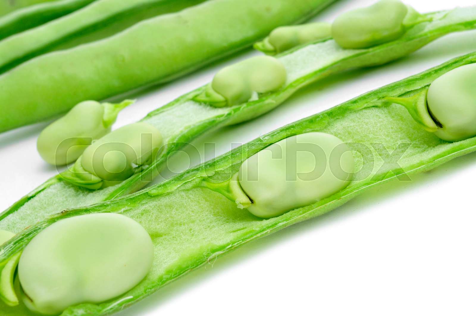 broad bean pods | Stock image | Colourbox