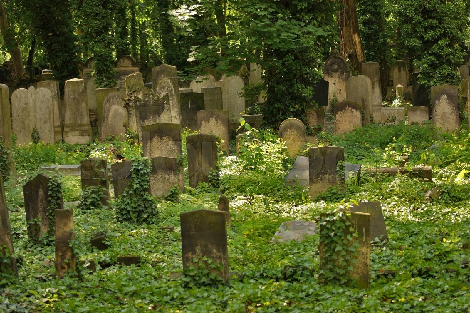 idyllischen alten Friedhof in Berlin | Stock Bild | Colourbox