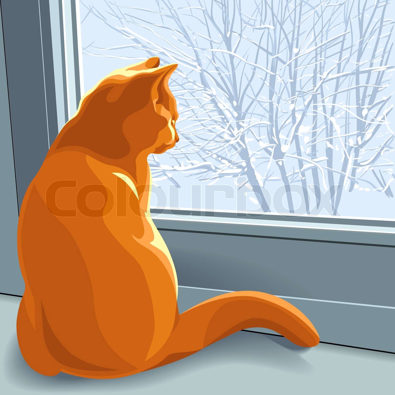 red british cat sits on the windowsill in the winter and looking out ...