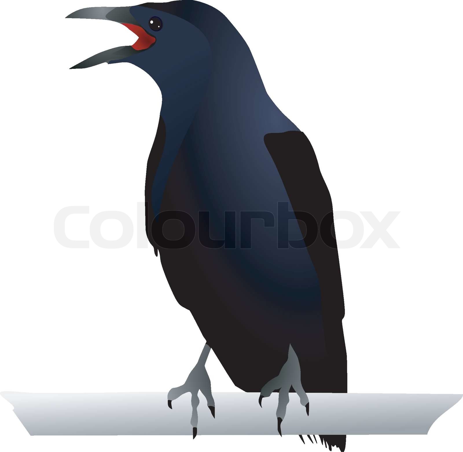 Vectors Raven | Stock vector | Colourbox