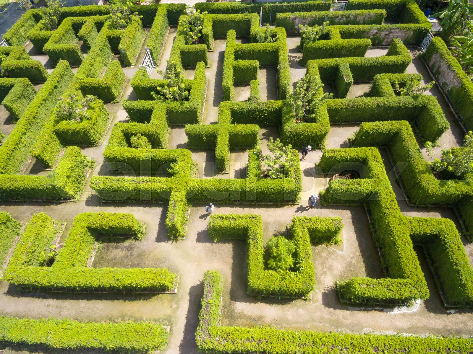 Aerial view of Green maze garden | Stock image | Colourbox