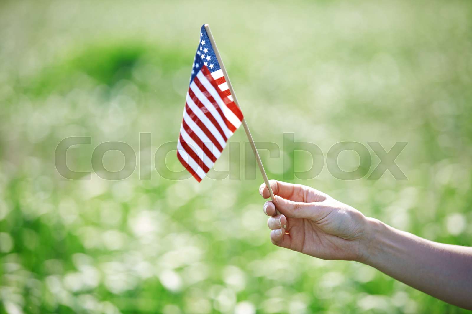 Hand holding US flag for Independence Day | Stock image | Colourbox