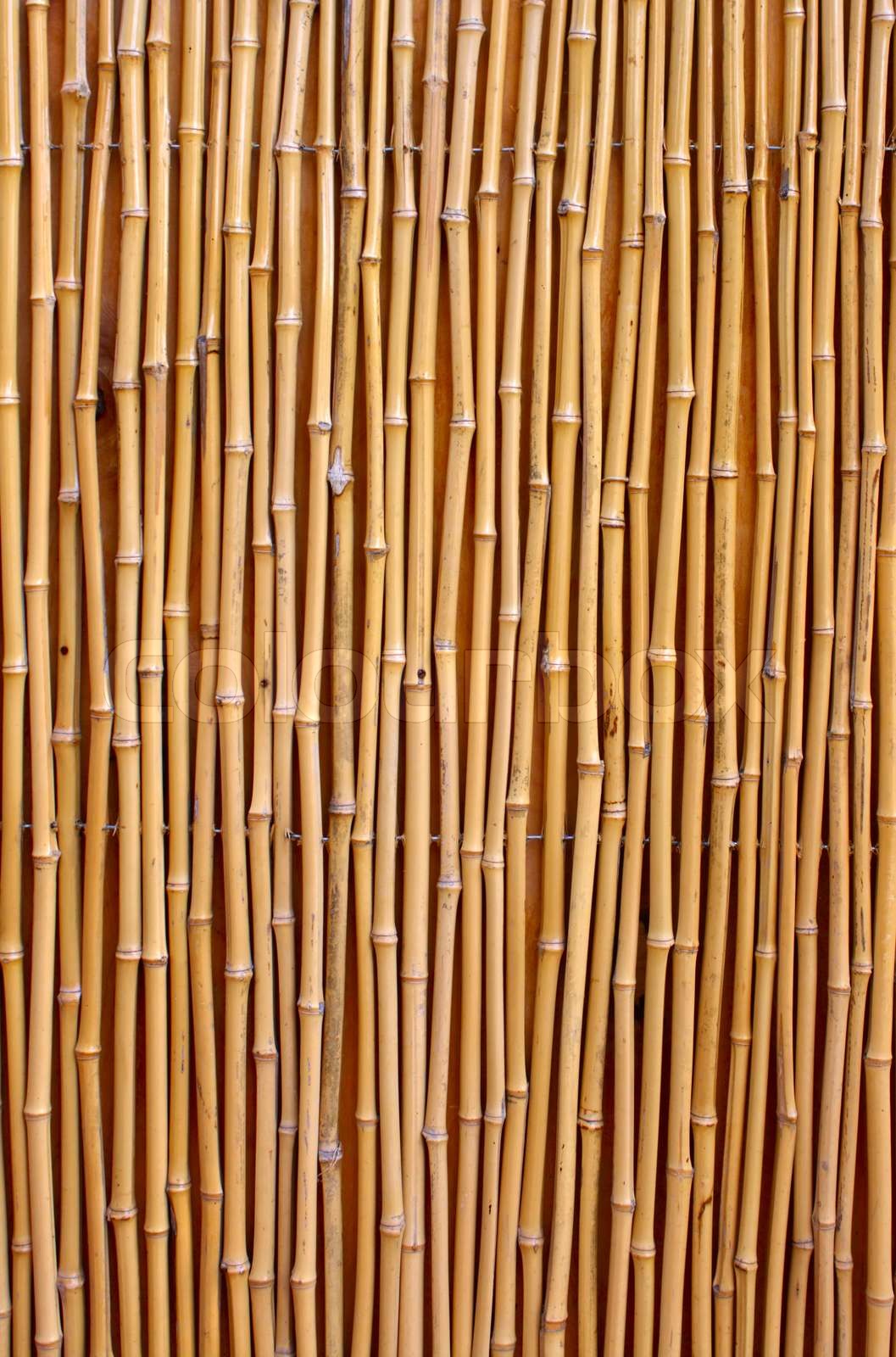 Natural detailed bamboo texture | Stock image | Colourbox