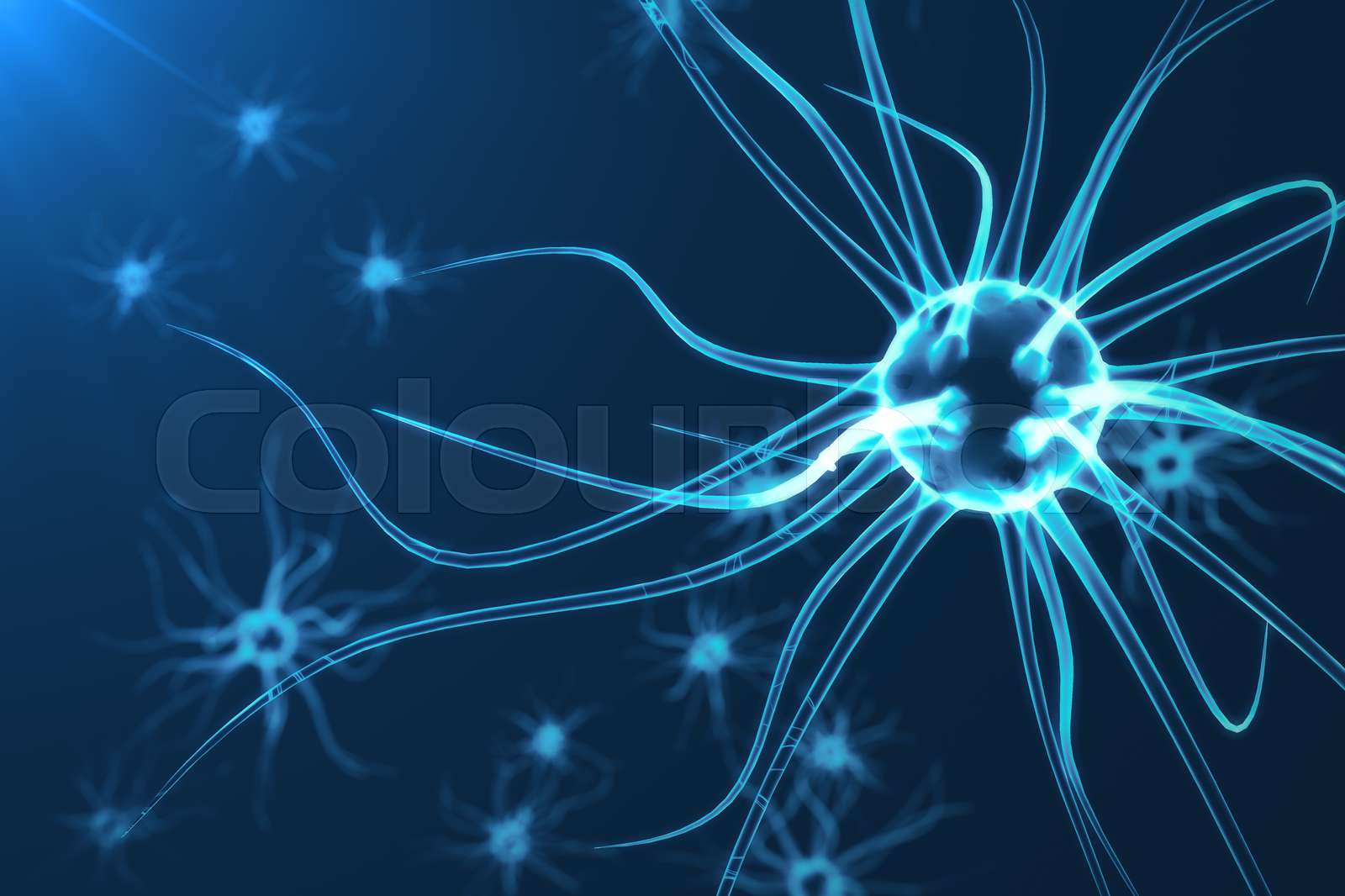 nervecelle, celle, nerve | Stock foto | Colourbox