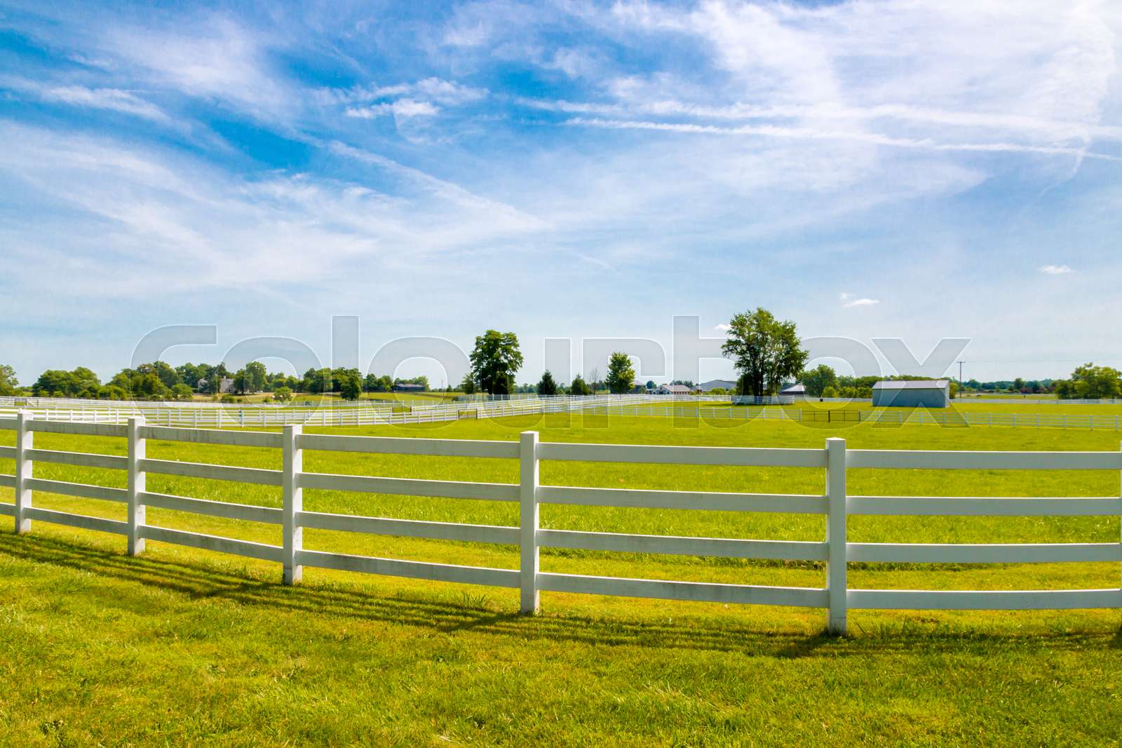 Green pastures of horse farms. | Stock image | Colourbox