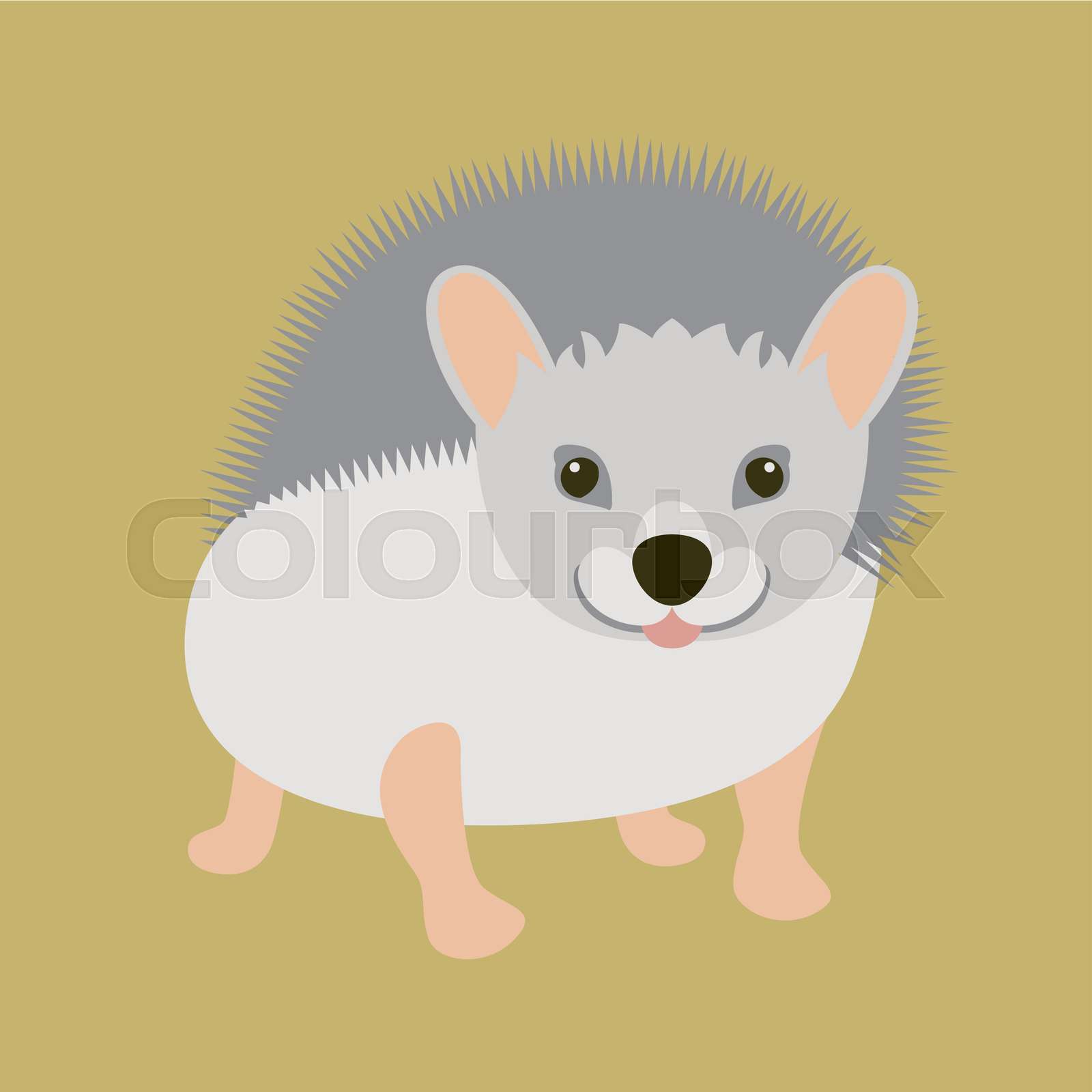 Hedgehog Vector | Stock vector | Colourbox