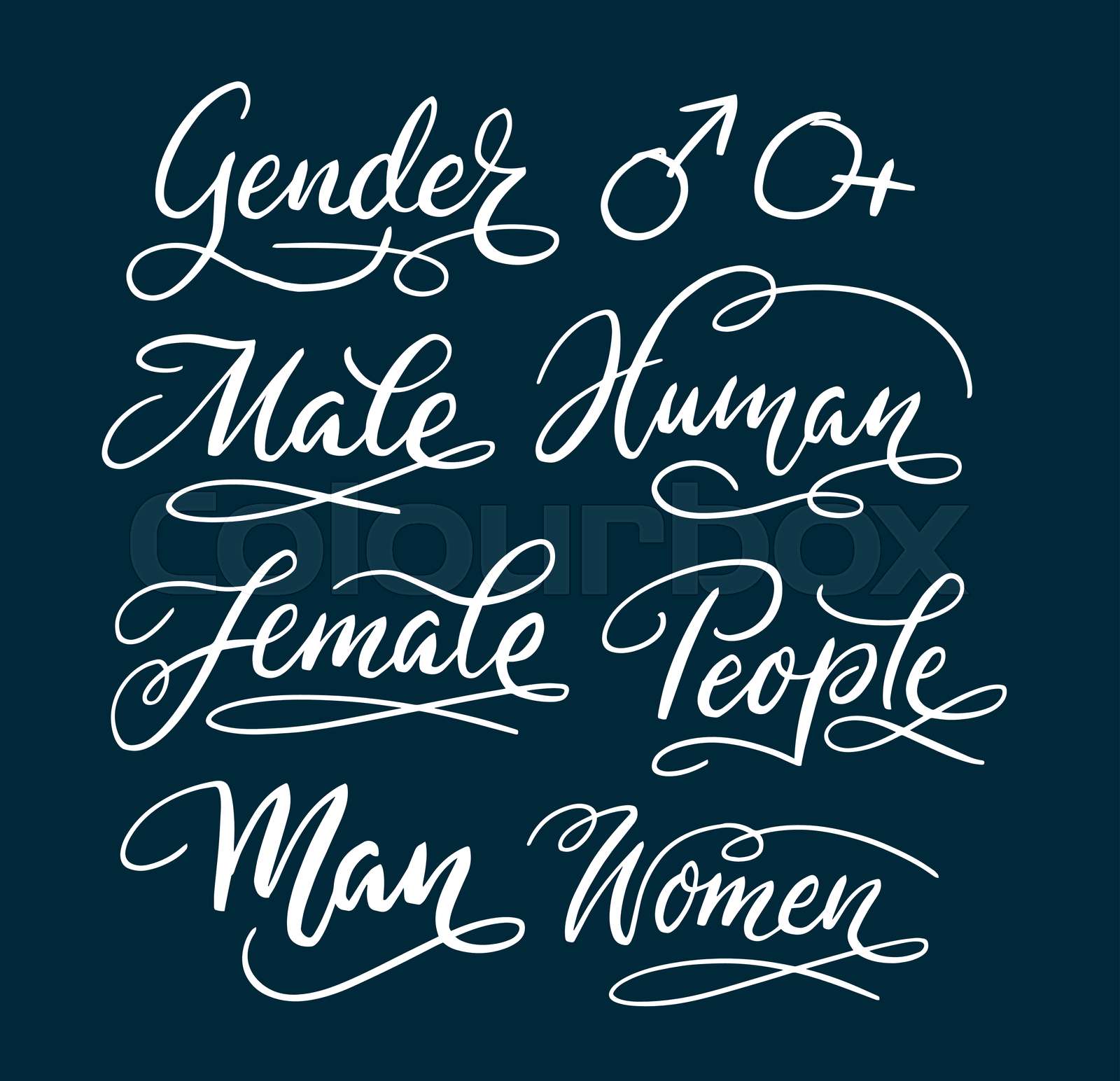 Gender male and female hand written typography | Stock vector | Colourbox