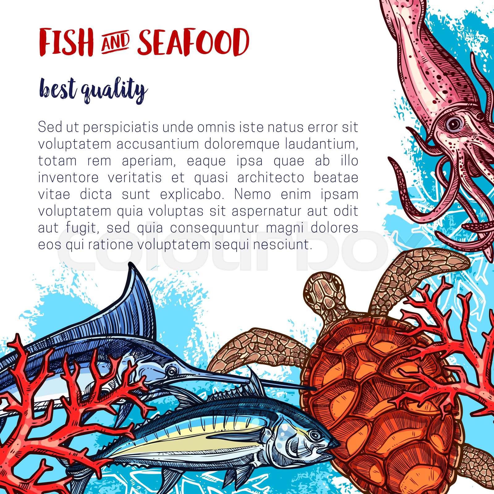 Vector fresh seafood and fish food poster | Stock vector | Colourbox