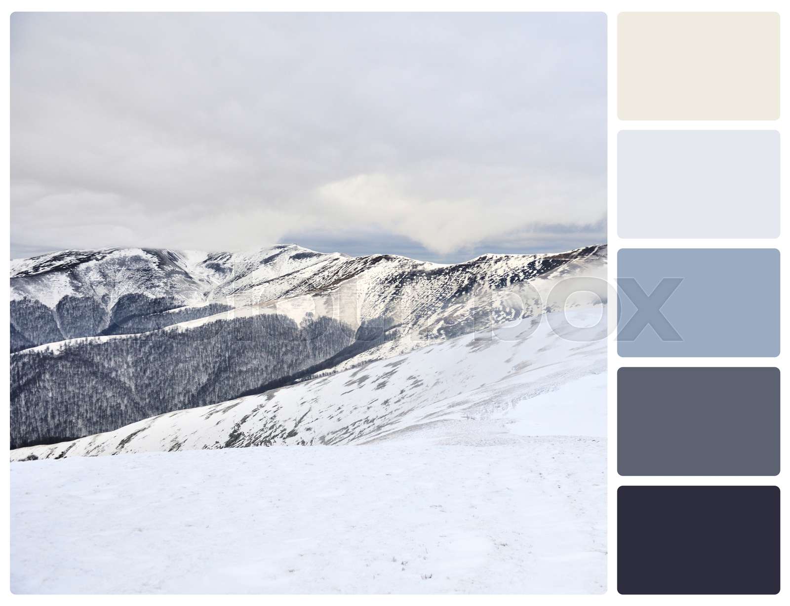 Winter landscape with palette color swatches | Stock image | Colourbox