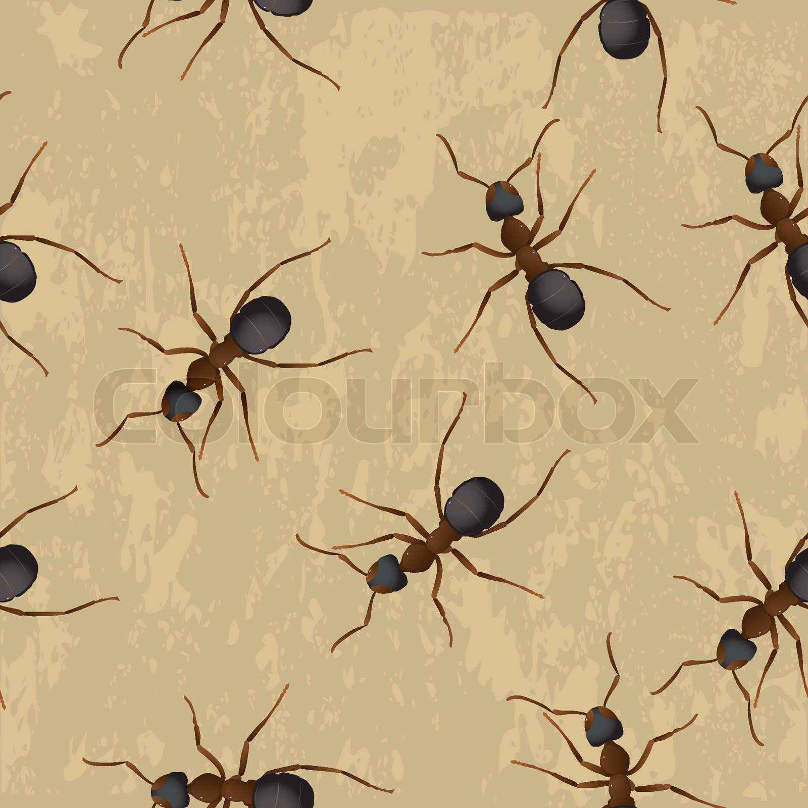 Seamless texture with ants | Stock vector | Colourbox