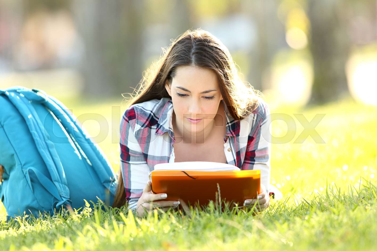 Concentrated student learning memorizing notes | Stock image | Colourbox