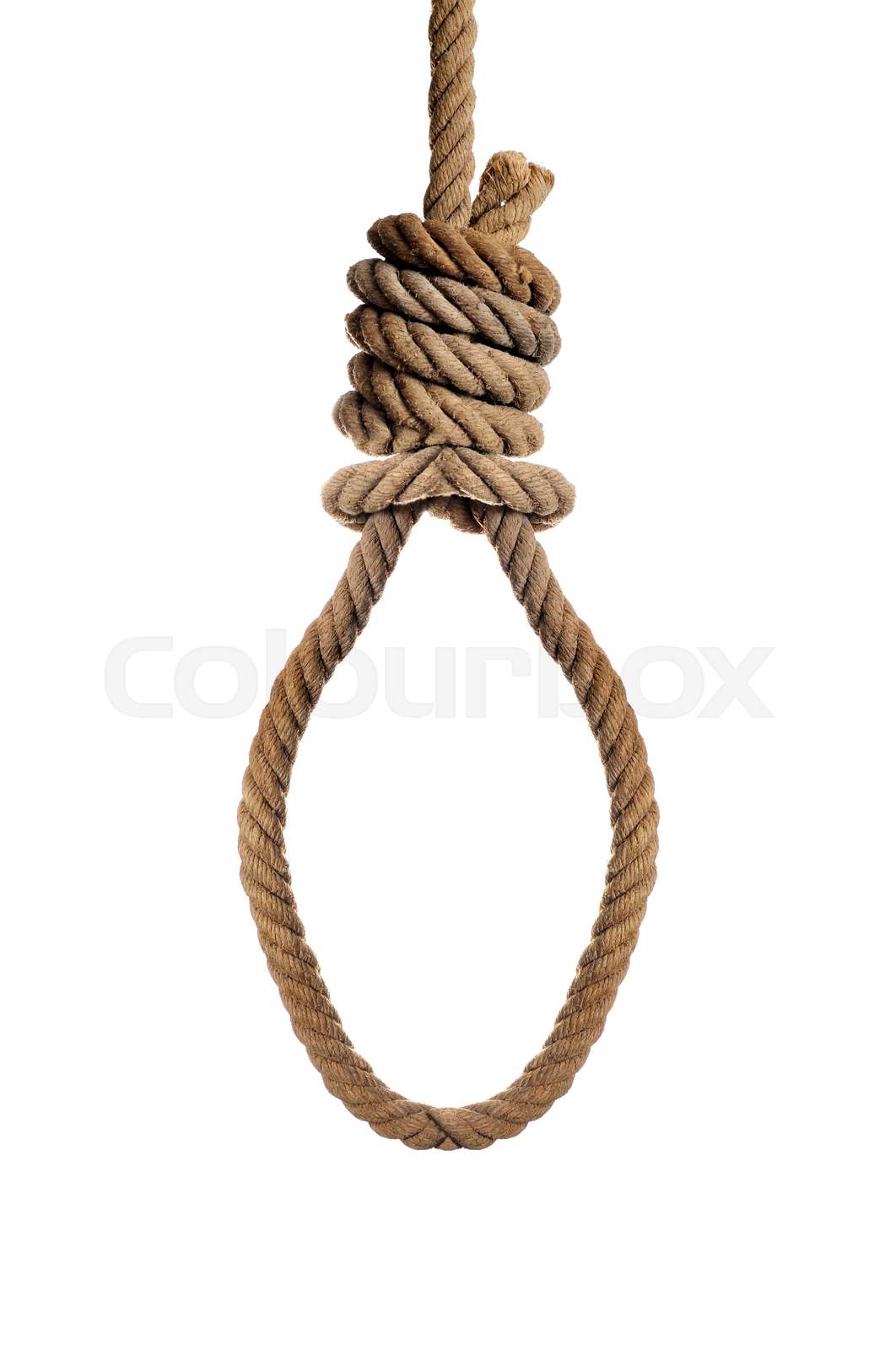 rope with a hangmans noose | Stock image | Colourbox