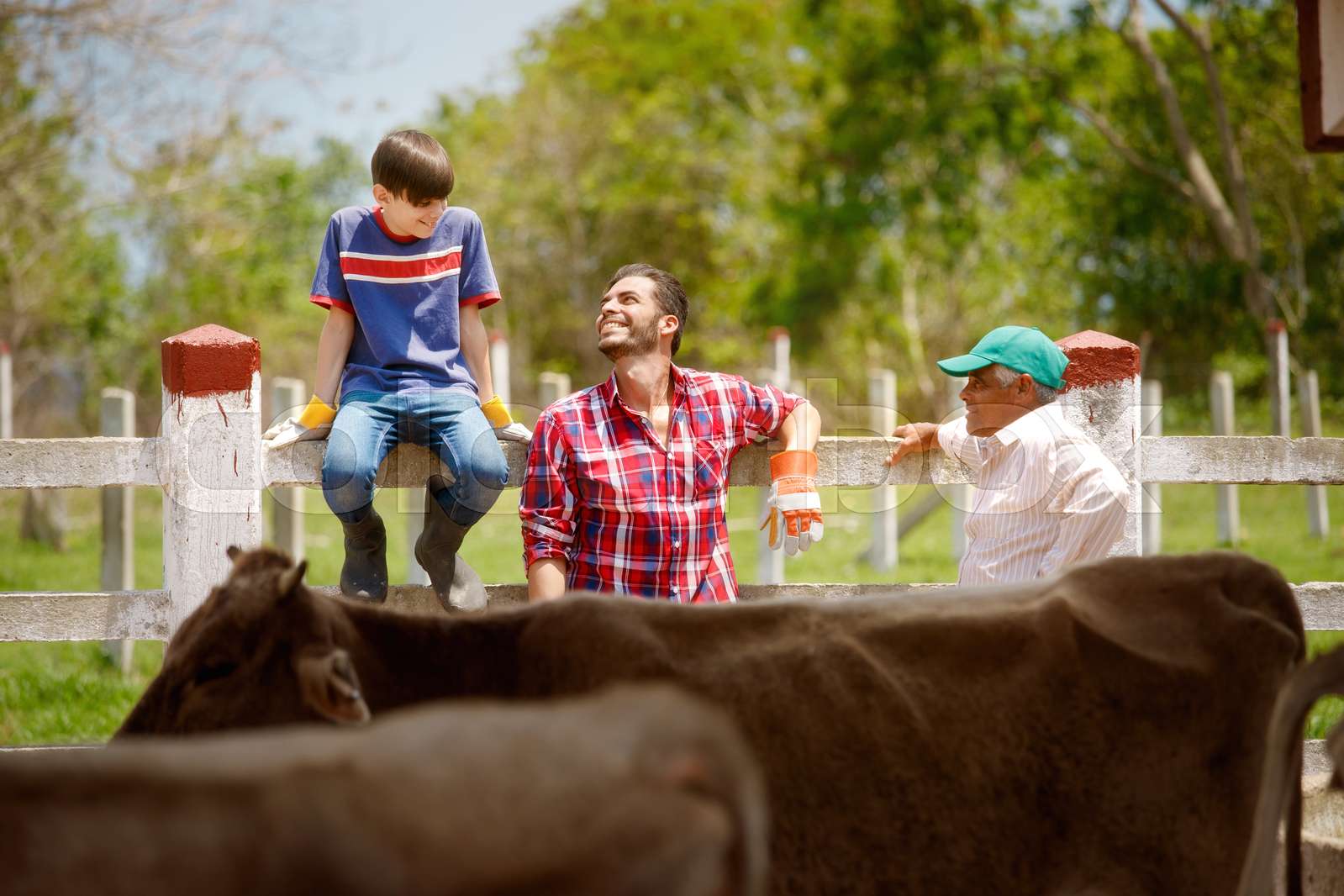 Three Generations Family Of Farmers Laughing In Farm | Stock image ...